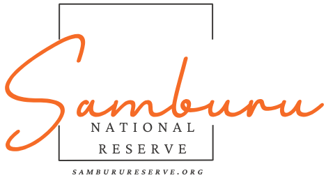 Comprehensive Guide to the Traditions and Culture of the Samburu People